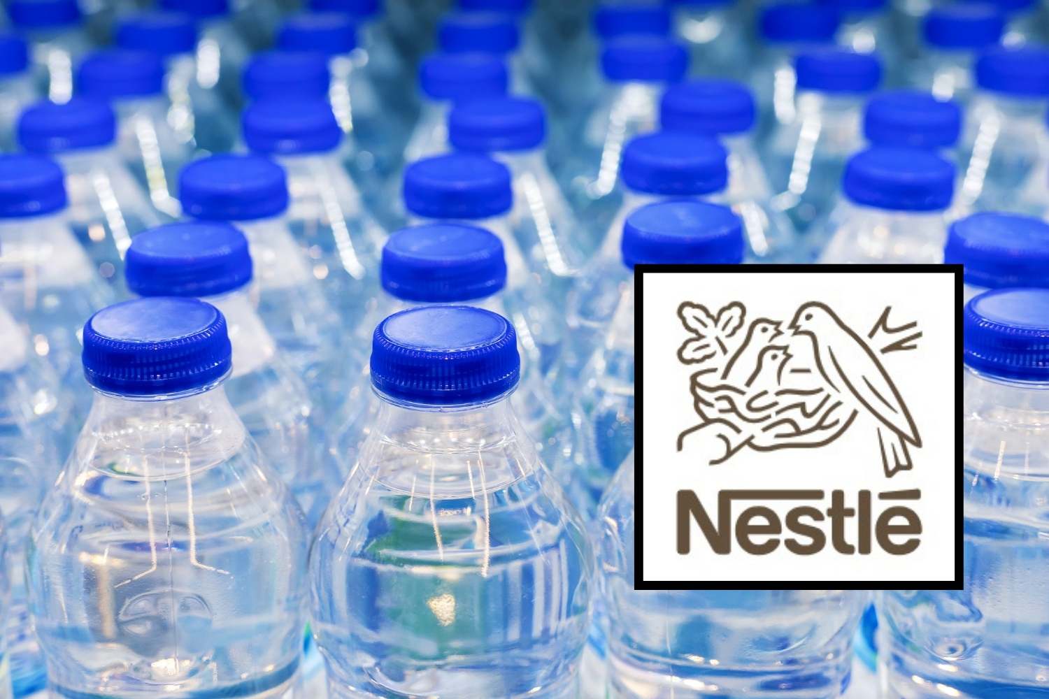 Contamined mineraalwaterschandaal: de CEO van Nestlé weigert te ...