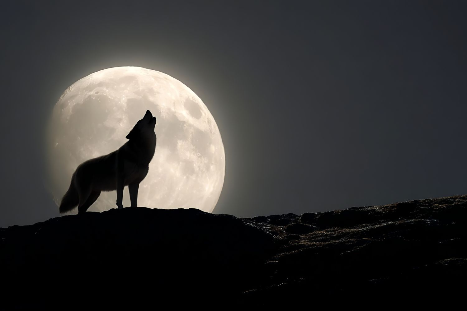 Verwelkom 2026 met de Wolf Moon, de eerste volle maan van het jaar (met ...